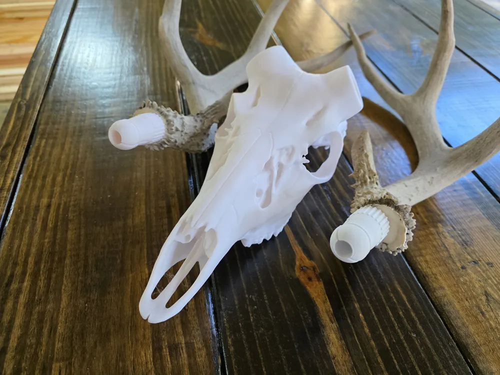 Whitetail Deer XL - "Bullet Anchor" Antler Skull - Free 3D Print Model ...