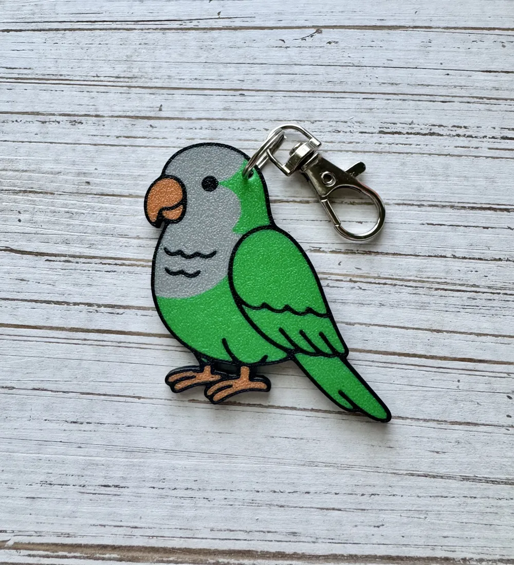 Quaker Parrot/Monk Parakeet Keychain by HeatherMacAnanny MakerWorld ...