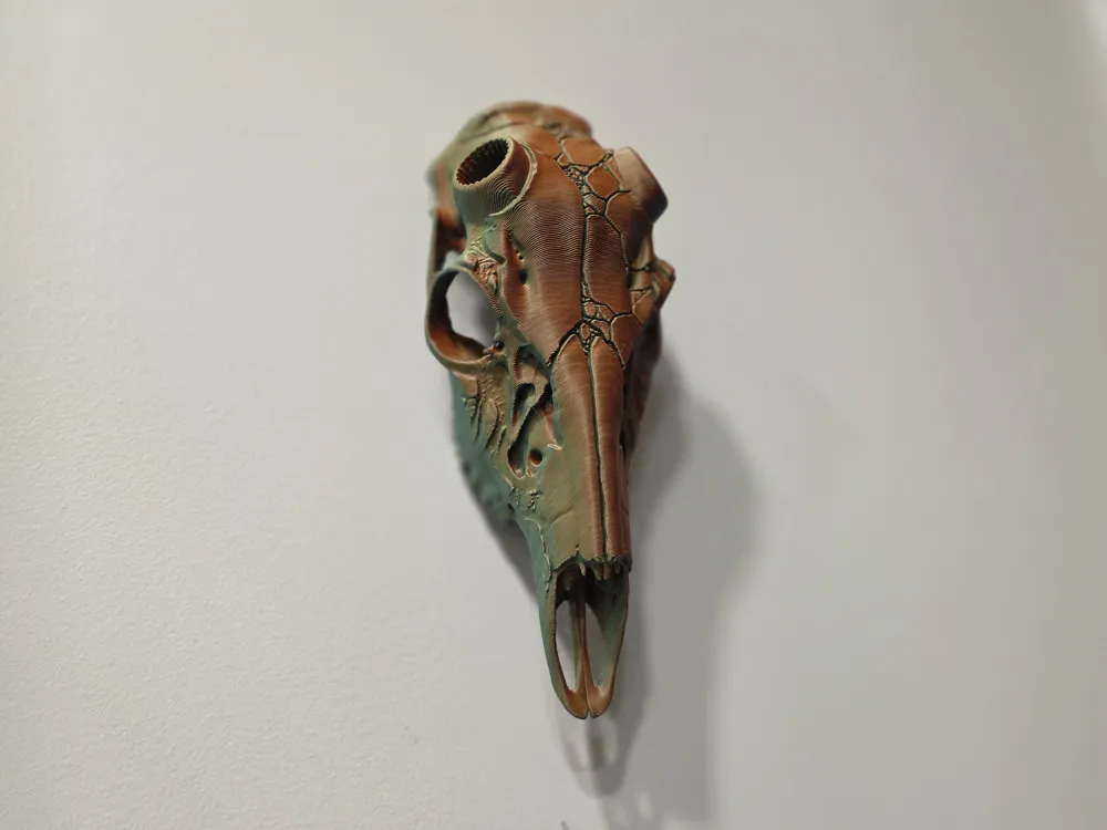 Graphic Whitetail Skull - Deadhead - BAS Mount - Free 3D Print Model ...