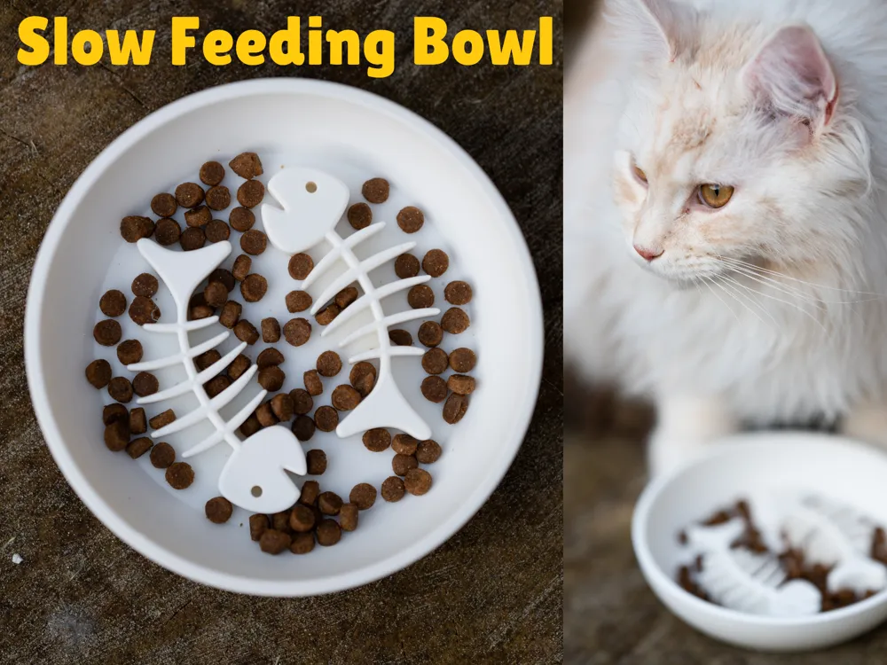 Cat Slow Feeder Bowl - Cat Toy feeder by Tim MakerWorld: Download Free ...