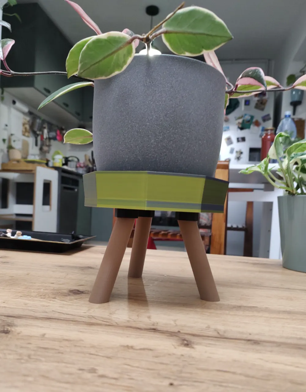 Desk Flower Pot Holder by FilaFun MakerWorld: Download Free 3D Models