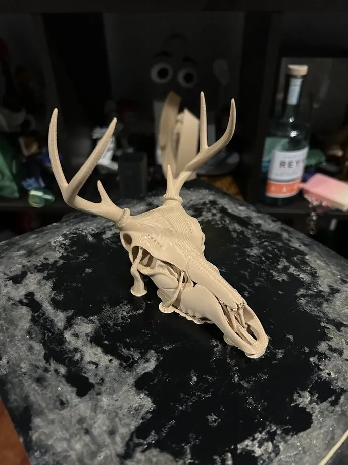 Deer Skull Wall Planter, Easy-Print & Customizable - Free 3D Print ...