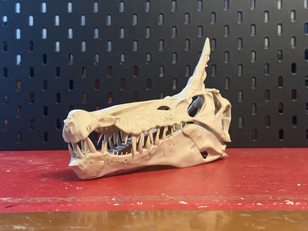 Spinosaurus mirabilis Skull – Removable Jaw - Free 3D Print Model ...