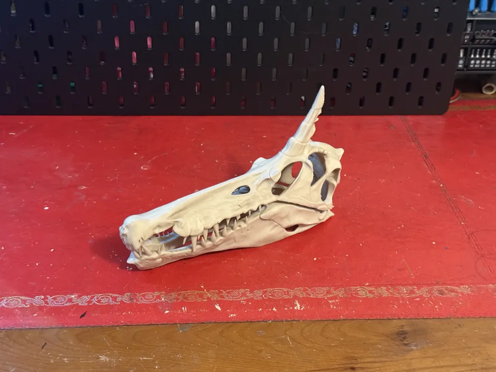 Spinosaurus mirabilis Skull – Removable Jaw - Free 3D Print Model ...
