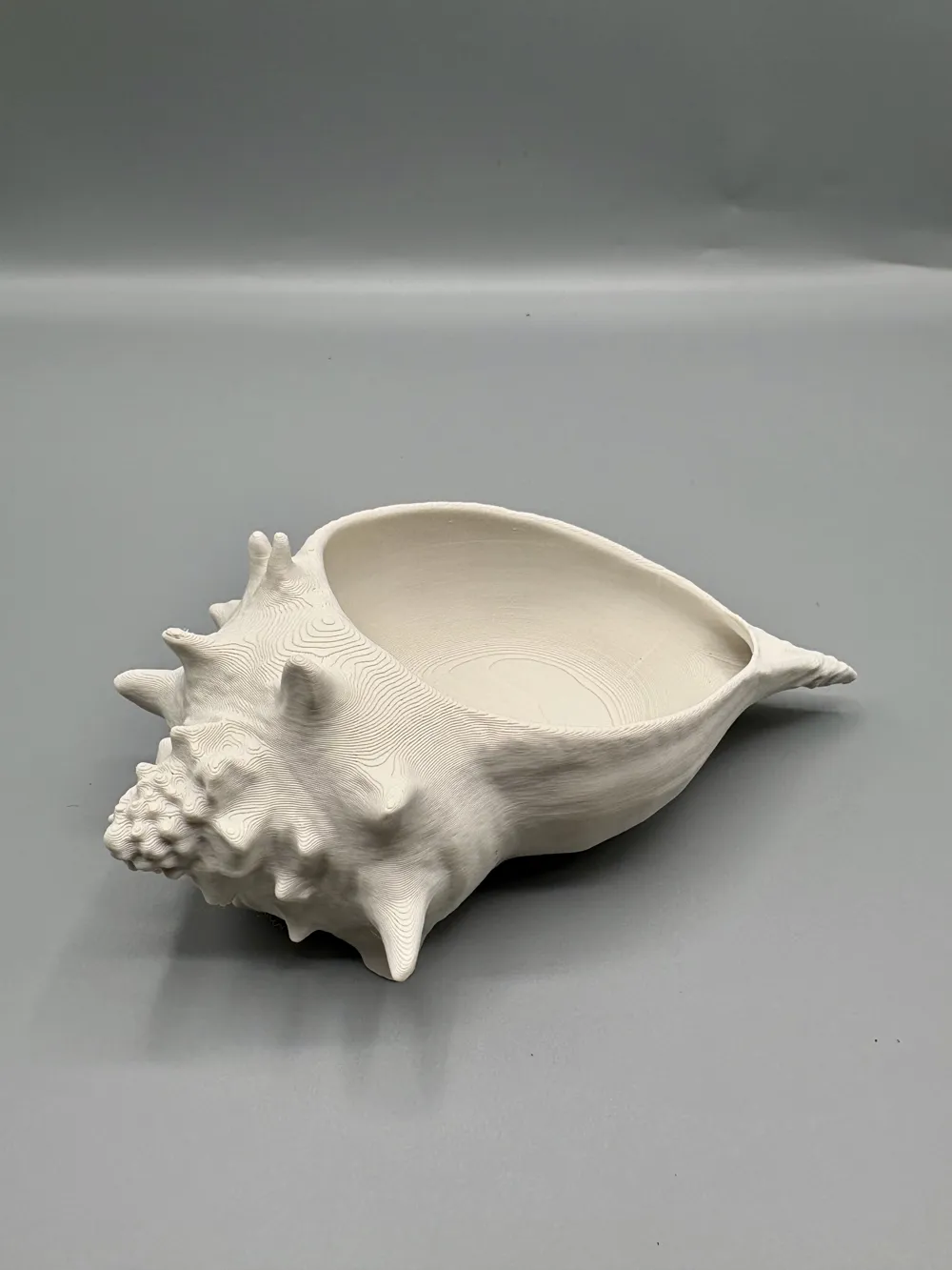 COASTAL CONCH SHELL CATCH-ALL TRAY ENTRYWAY BOWL by TheHexArtist ...