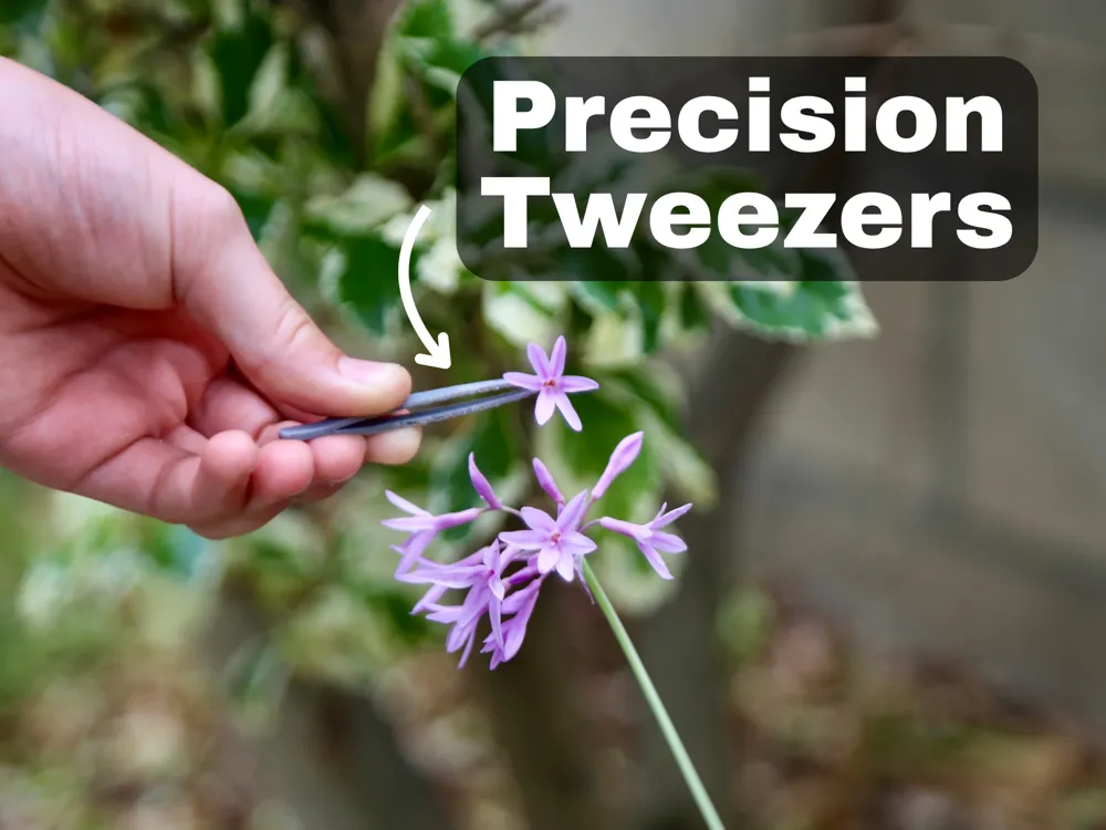 Pocket Lab - Mobile dissection Unit by 3Dean Printing MakerWorld: Download Free 3D Models