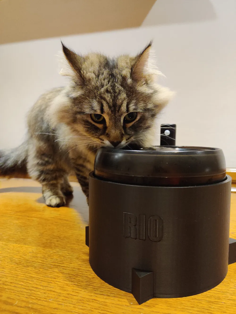 PHILIPS 3000 SERIES WATER FOUNTAIN CONTAINER by MARCO_COVA - MakerWorld