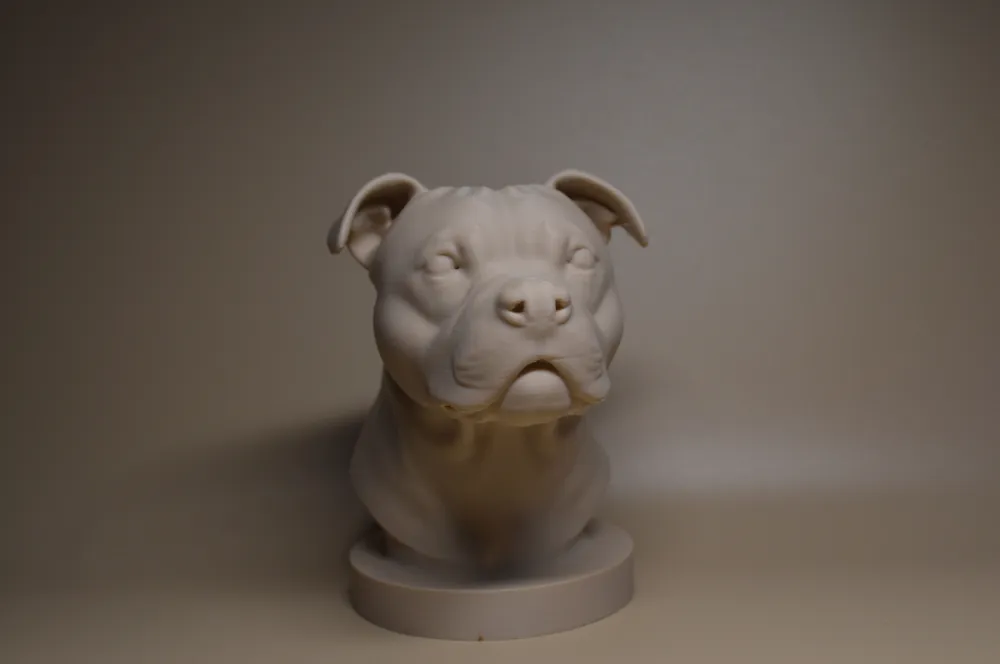 Staffordshire bull terrier bust by _JkJk_ MakerWorld: Download Free 3D ...