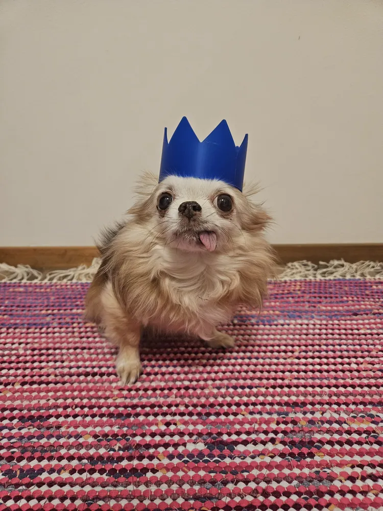 Small Crown - Free 3D Print Model - MakerWorld