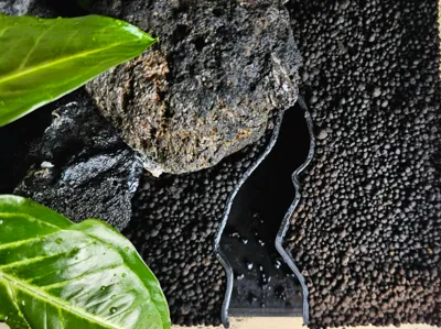 aquarium cave 3d print model download - MakerWorld