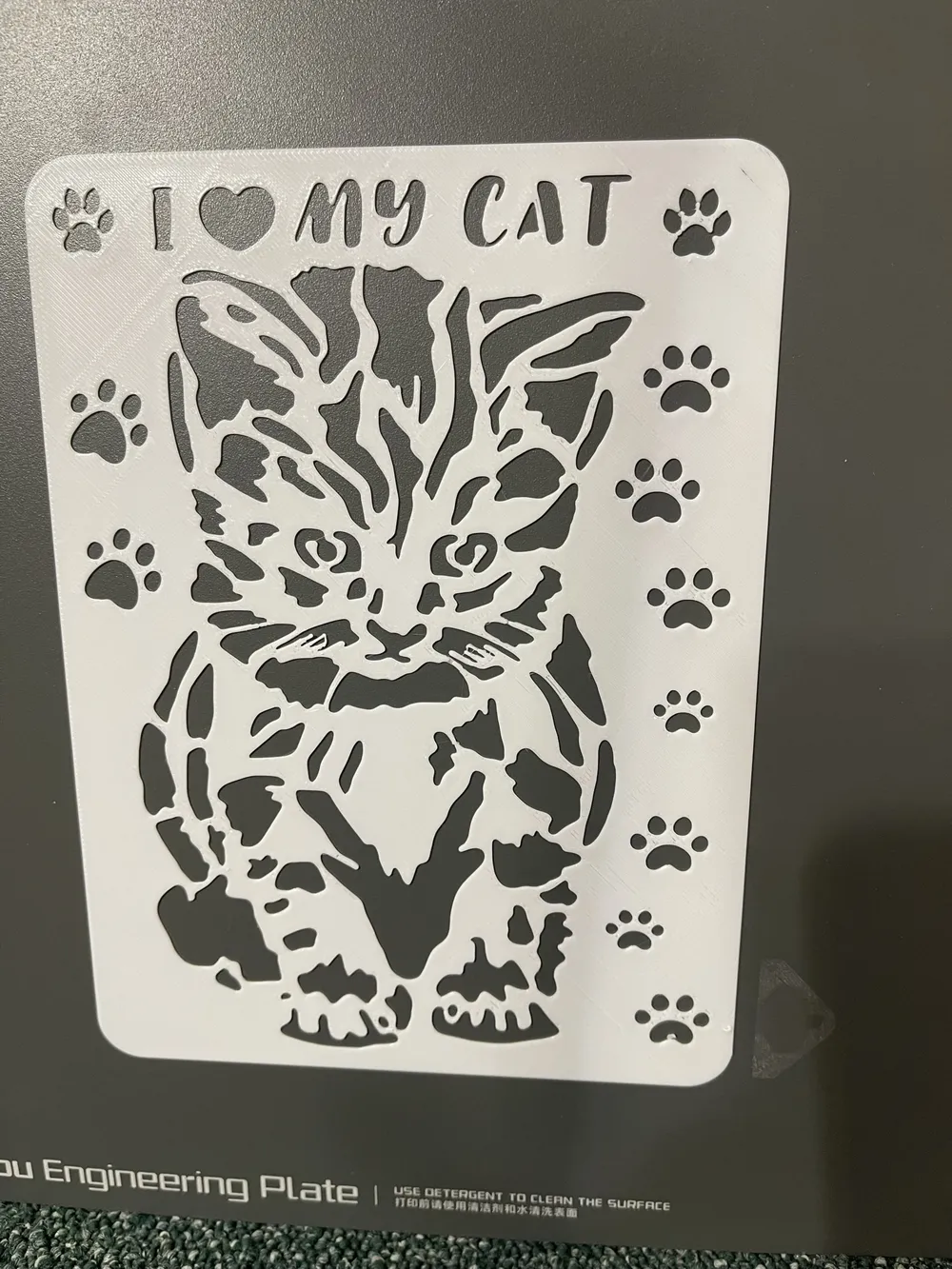 I love my Cat Template Stencil for draw and paint by ideat0m MakerWorld ...