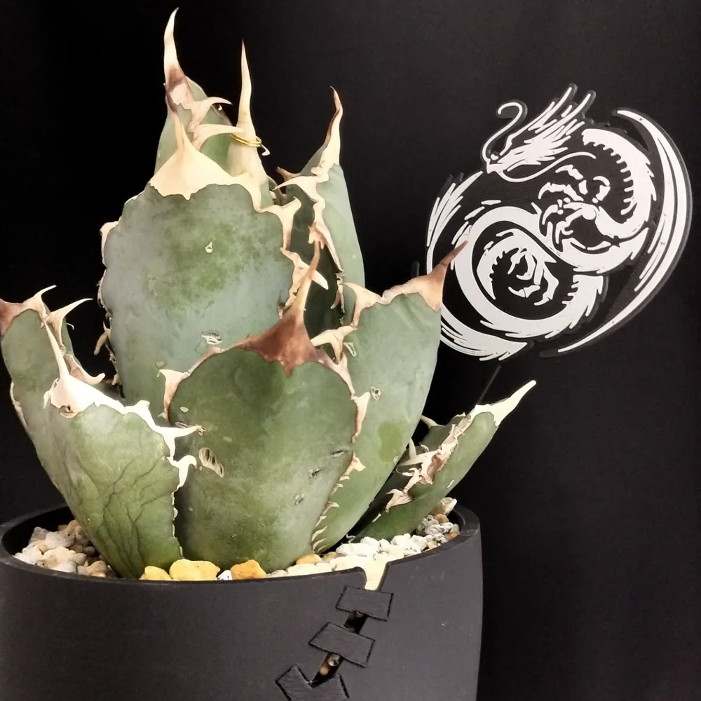 Agave Plant Tag / zt004 Dragon Claw by Zamurai3D - MakerWorld