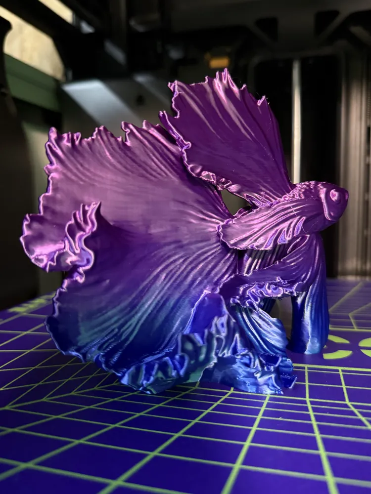 Betta Fish (Betta) Sculpture 2 - Free 3D Print Model - MakerWorld