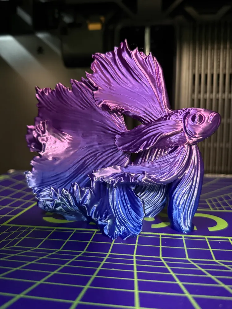 Betta Fish (Betta) Sculpture 2 - Free 3D Print Model - MakerWorld