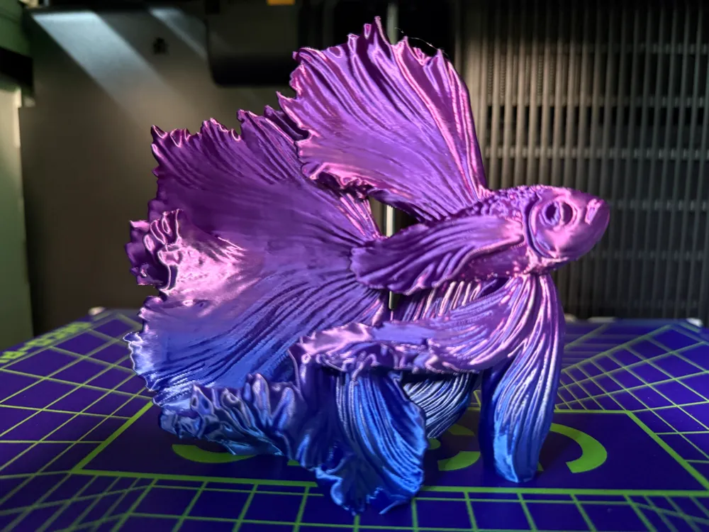 Betta Fish (Betta) Sculpture 2 - Free 3D Print Model - MakerWorld