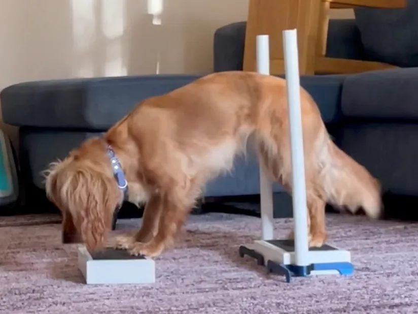 Dog Fitness Pole Stand by seatil - MakerWorld