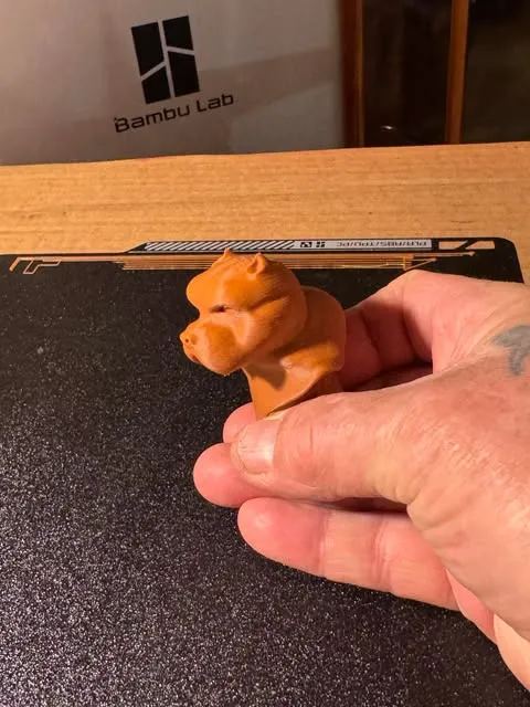 american Bully bust by DarkWolF - MakerWorld