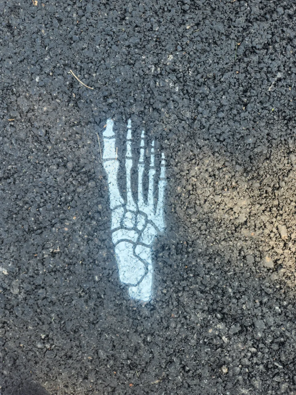 Skeletal Foot Stencil by Xarlos - MakerWorld