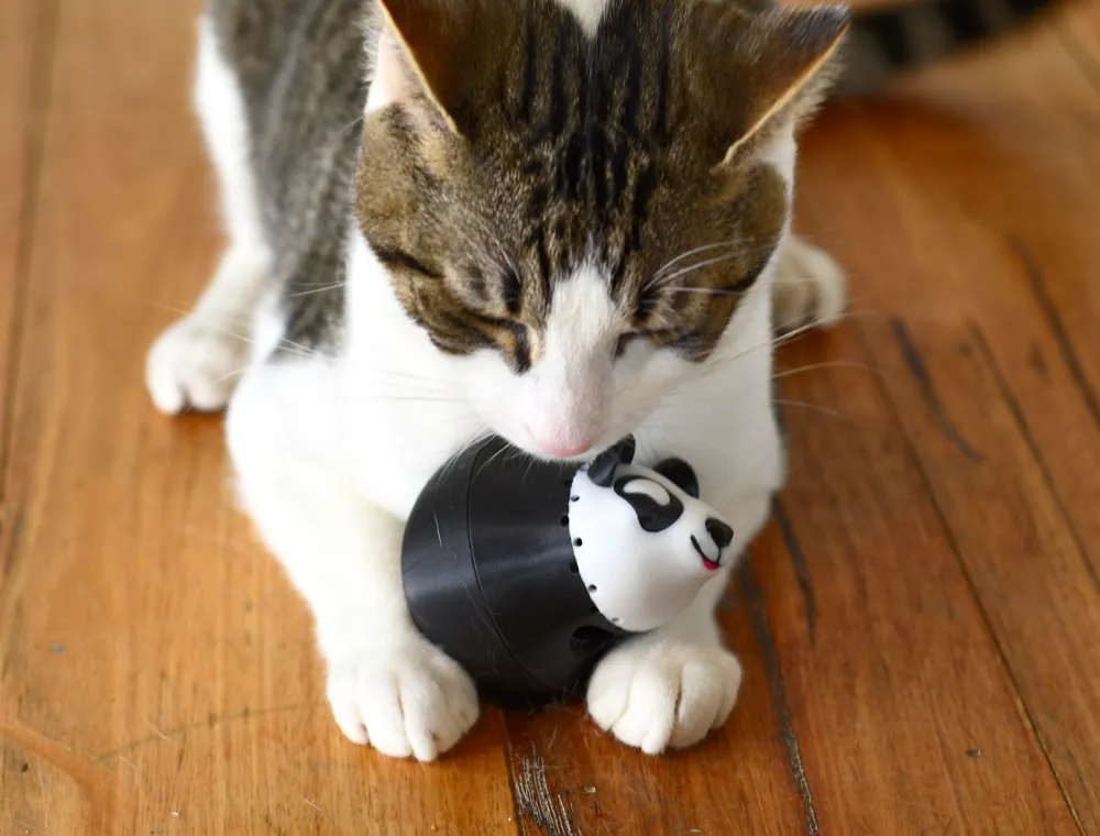 Panda Habitat Play Set by vali MakerWorld: Download Free 3D Models