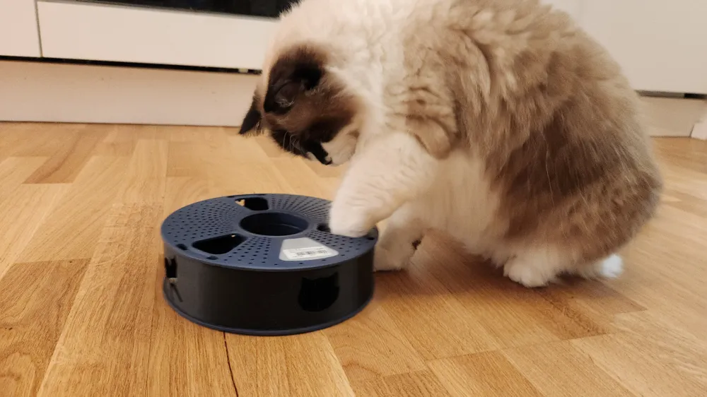 Cat treat activity toy in empty SUNLU/Bambu spool by T.H Made ...