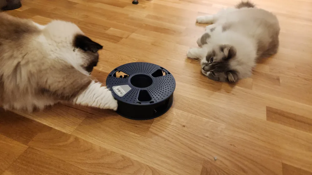 Cat treat activity toy in empty SUNLU/Bambu spool - Free 3D Print Model ...