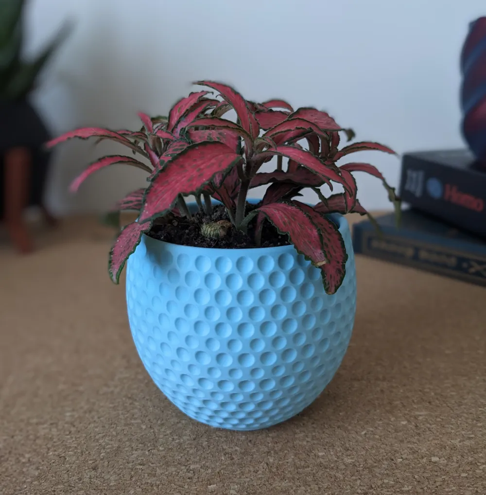 Tiny Dotted Succulent Planter by Tycho Design - MakerWorld