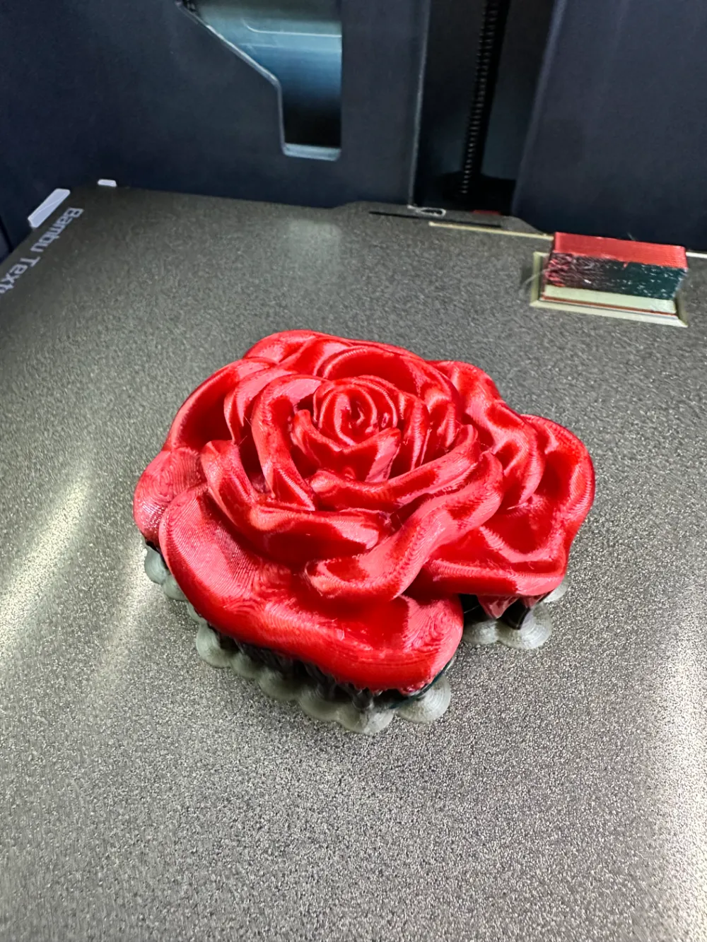 Rose - classic single bloom - choose 1 or 2 colours by Dr Craig ...