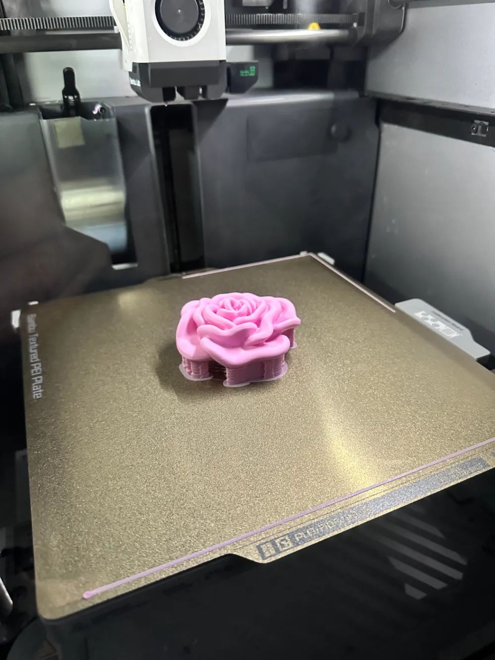 Rose - classic single bloom - choose 1 or 2 colours by Dr Craig ...