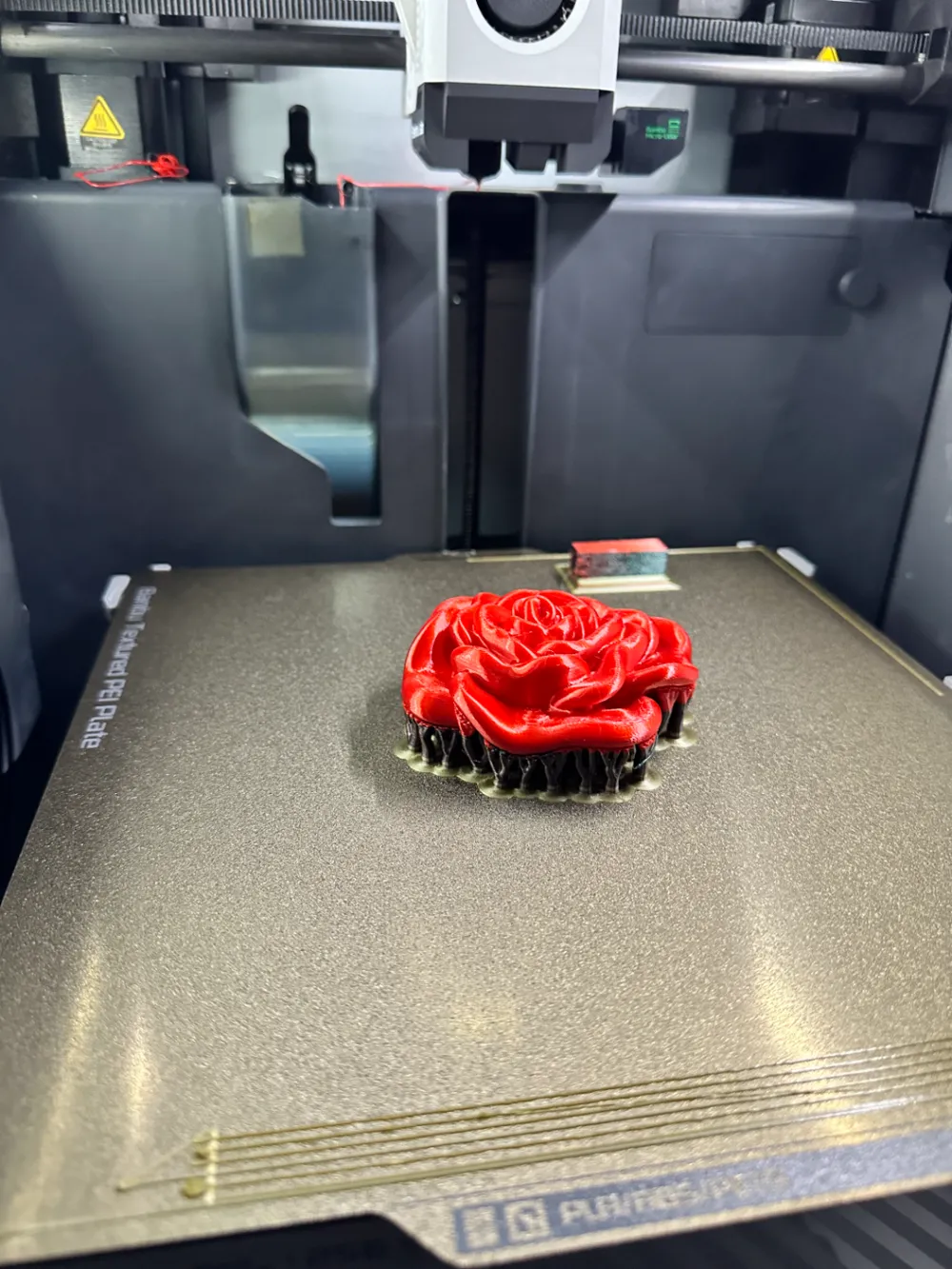 Rose - classic single bloom - choose 1 or 2 colours by Dr Craig ...