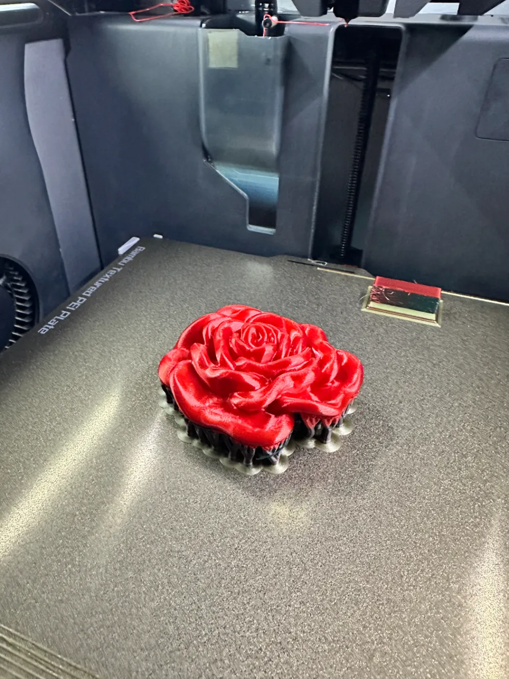 Rose - classic single bloom - choose 1 or 2 colours by Dr Craig ...