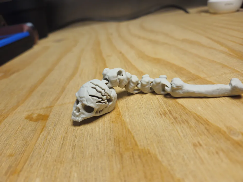 Articulated Bone Flail by Caziuz Designs MakerWorld: Download Free 3D ...