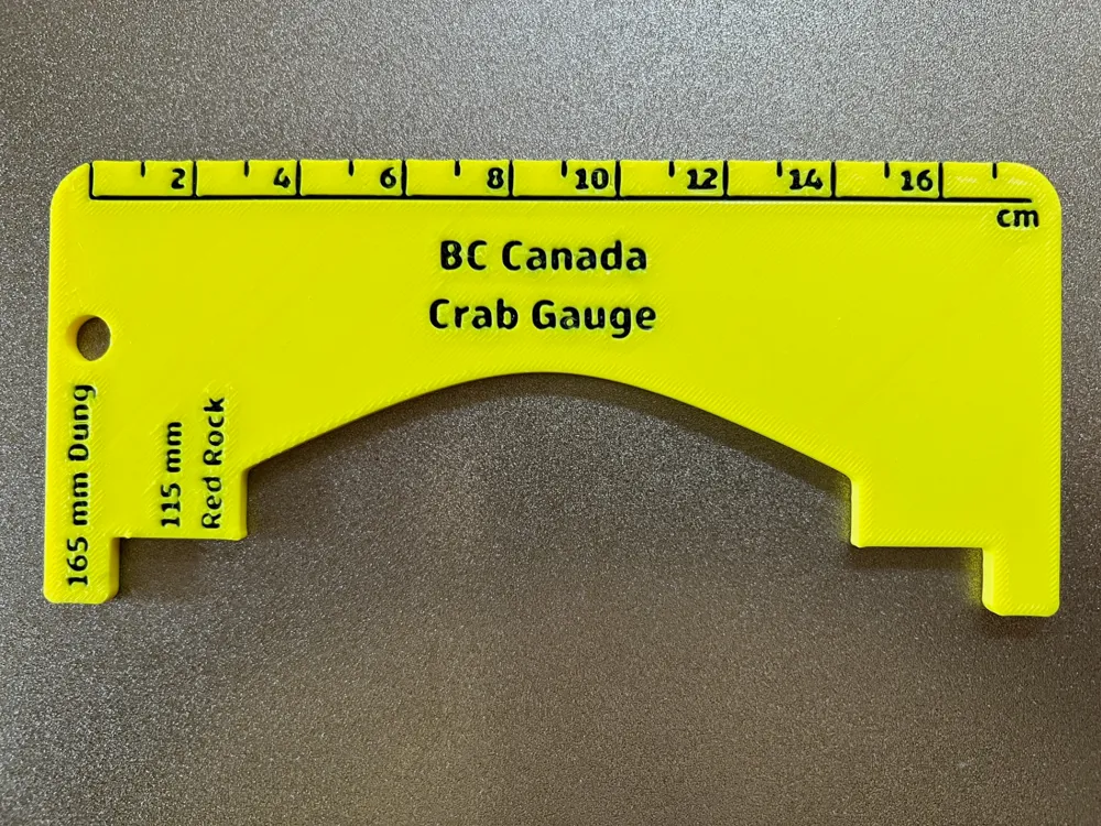 Dungeness Crab Gauge - Free 3D Print Model - MakerWorld