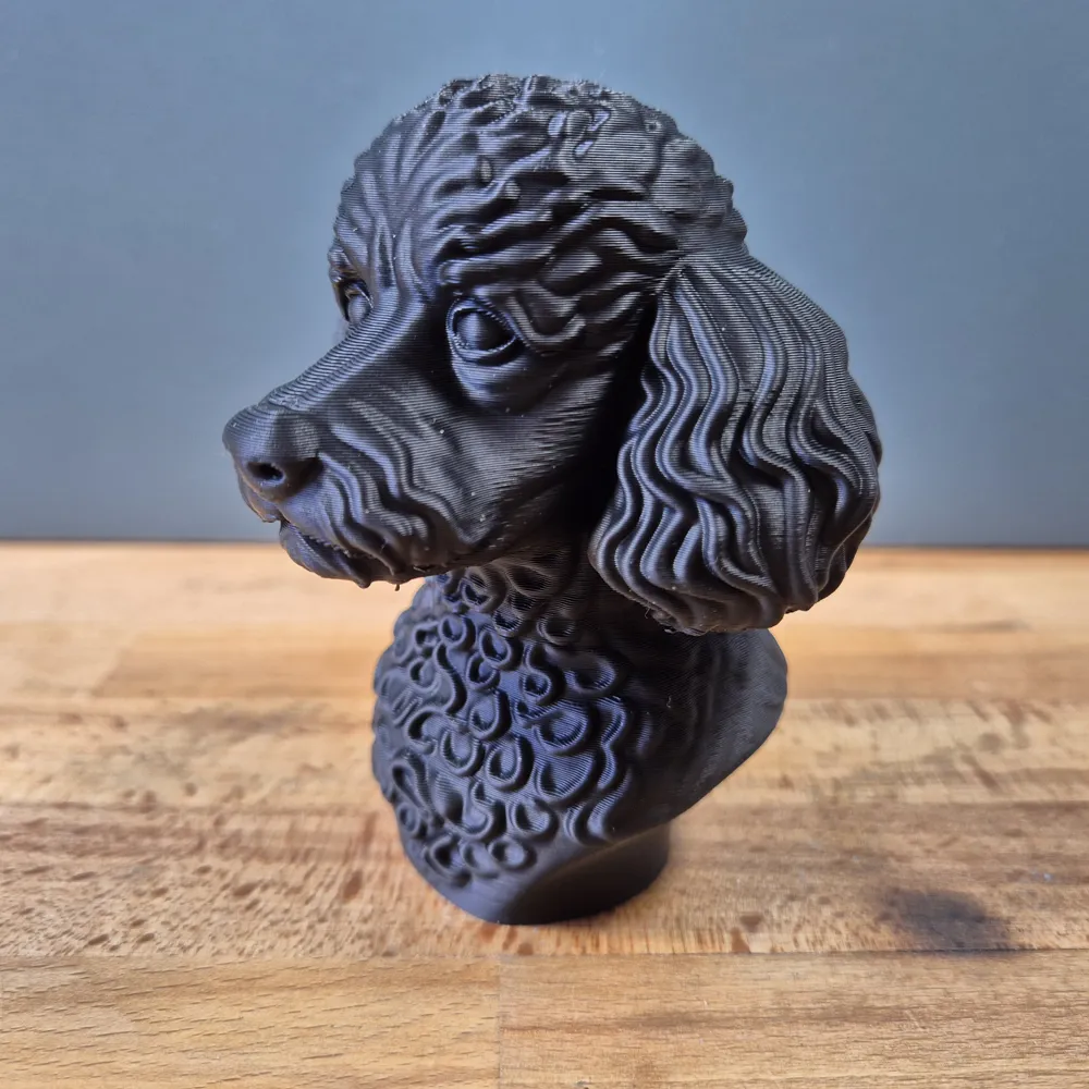 Miniature Poodle Bust by Mr.Jay MakerWorld: Download Free 3D Models