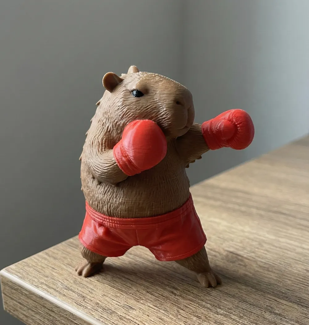 Boxer Capybara - Free 3D Print Model - MakerWorld
