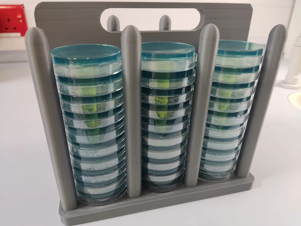Petri Dish Rack / Holder by Patzu55 MakerWorld: Download Free 3D Models