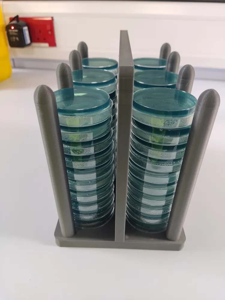 Petri Dish Rack / Holder by Patzu55 MakerWorld: Download Free 3D Models