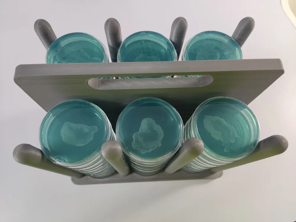 Petri Dish Rack / Holder by Patzu55 MakerWorld: Download Free 3D Models