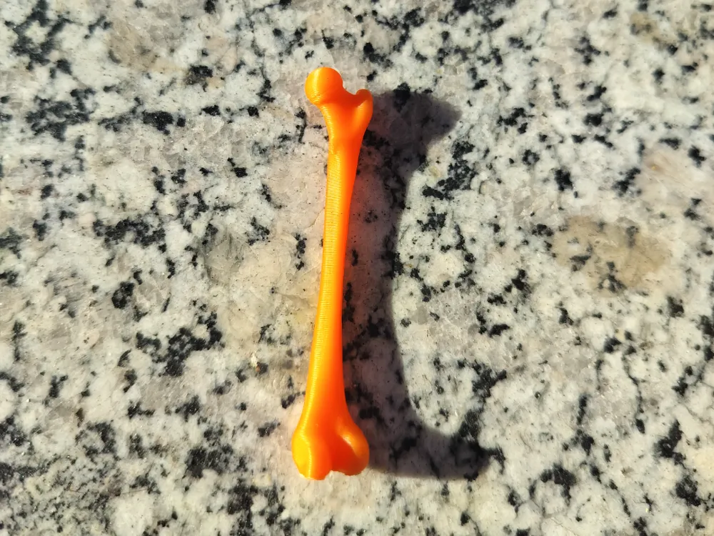 Femur - Free 3D Print Model - MakerWorld