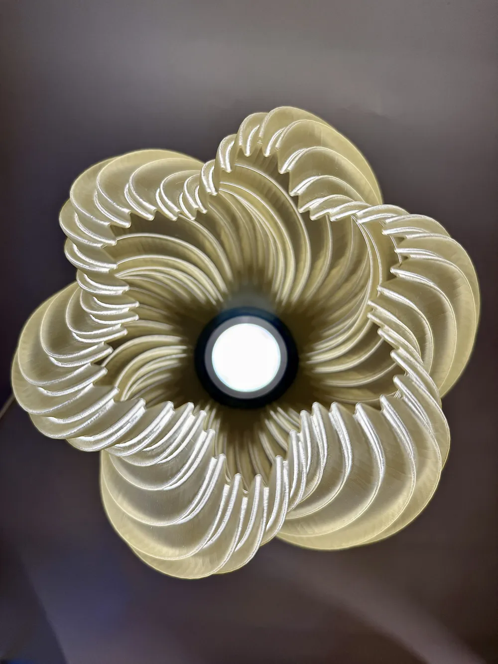 Twisted Shell Lamp - Free 3D Print Model - MakerWorld