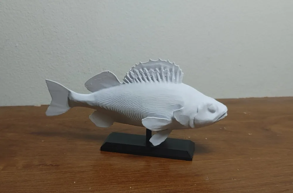 Perch Fish Mount by Fish Prints MakerWorld: Download Free 3D Models
