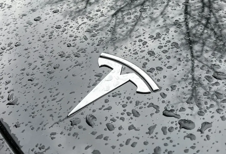 Tesla model Y logo Applicator by KenPrint3D - MakerWorld