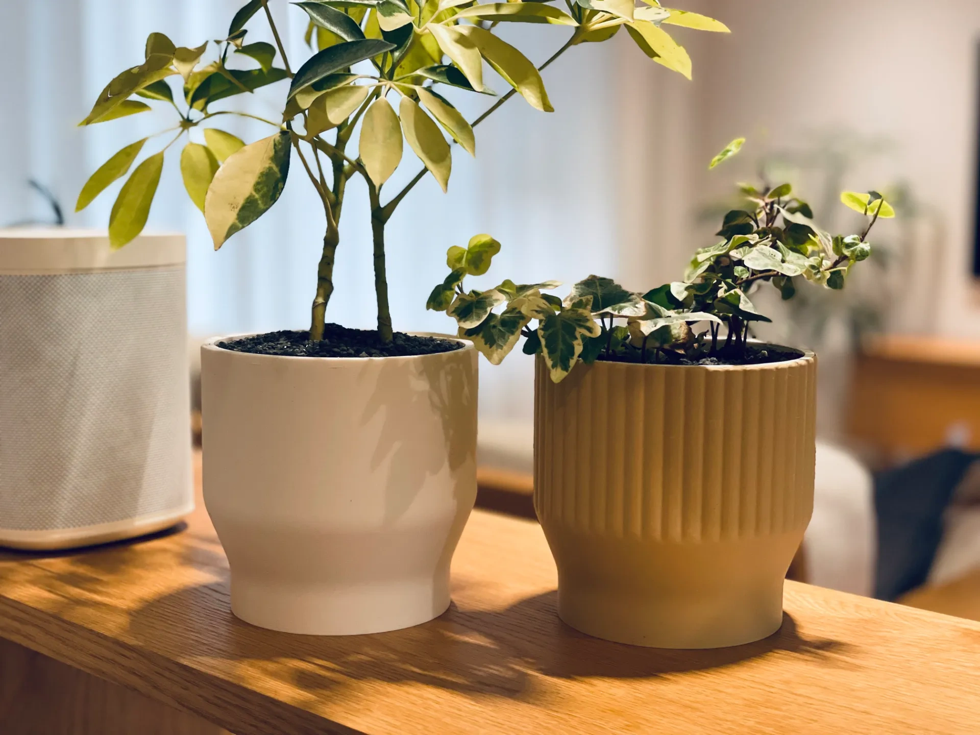 Simple Style Flower Pot/Planter/Outer Pot by JimmyKiddy - MakerWorld