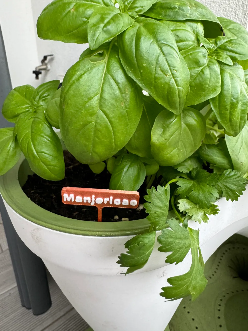 Plant Pot Tags - Free 3D Print Model - MakerWorld