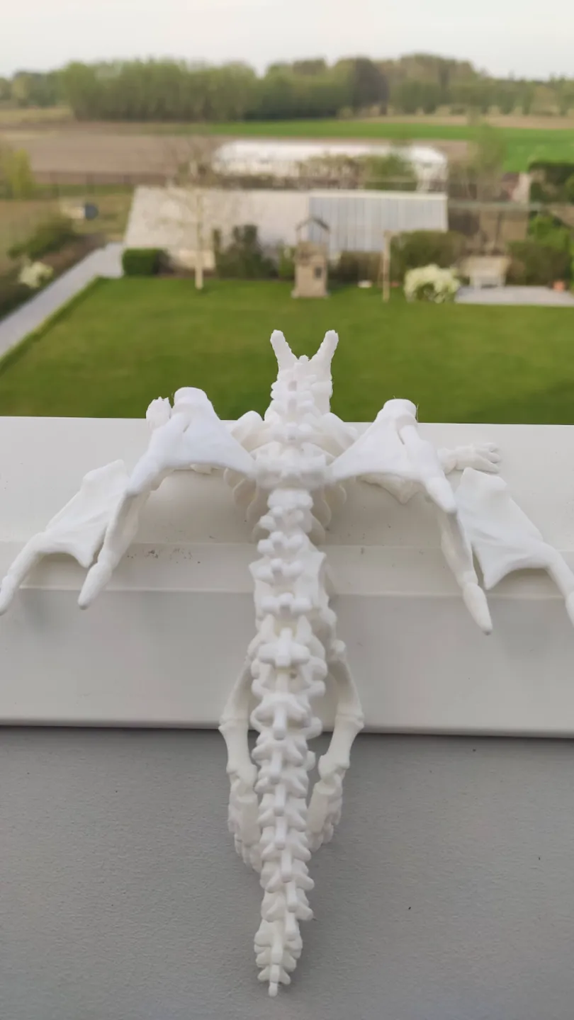 Articulated Skeleton Dragon With Wings V2 by Glacial - MakerWorld