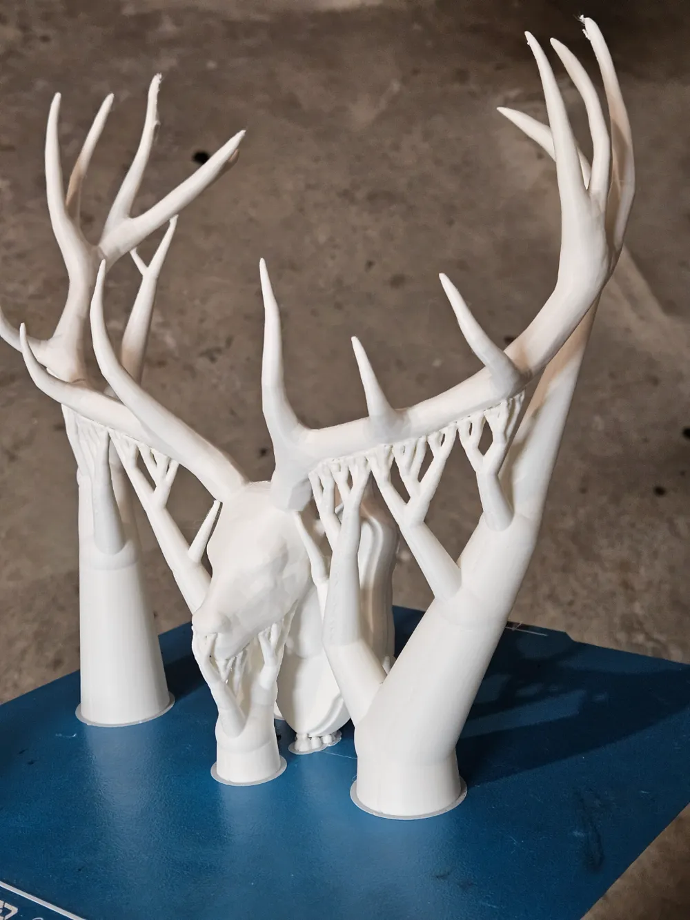 Antler Display by Bokkins' Workshop - MakerWorld