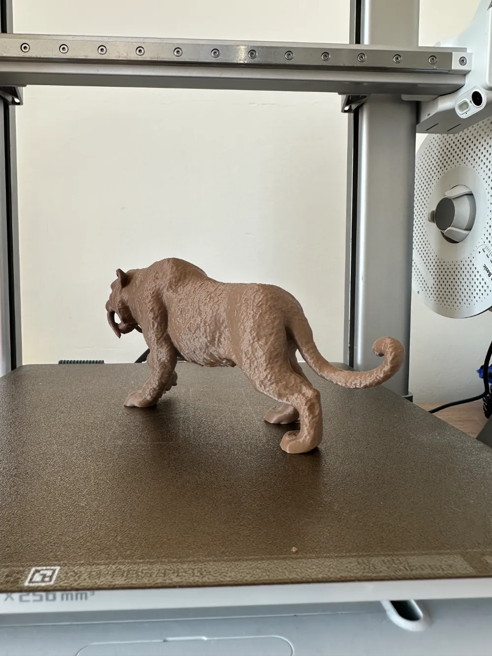 SaberTooth Tiger by 3D Fun MakerWorld: Download Free 3D Models