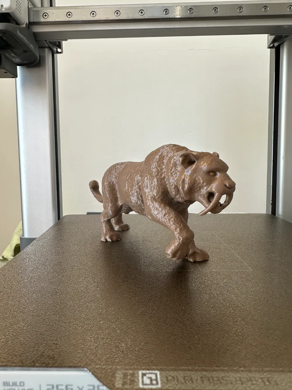 SaberTooth Tiger by 3D Fun MakerWorld: Download Free 3D Models