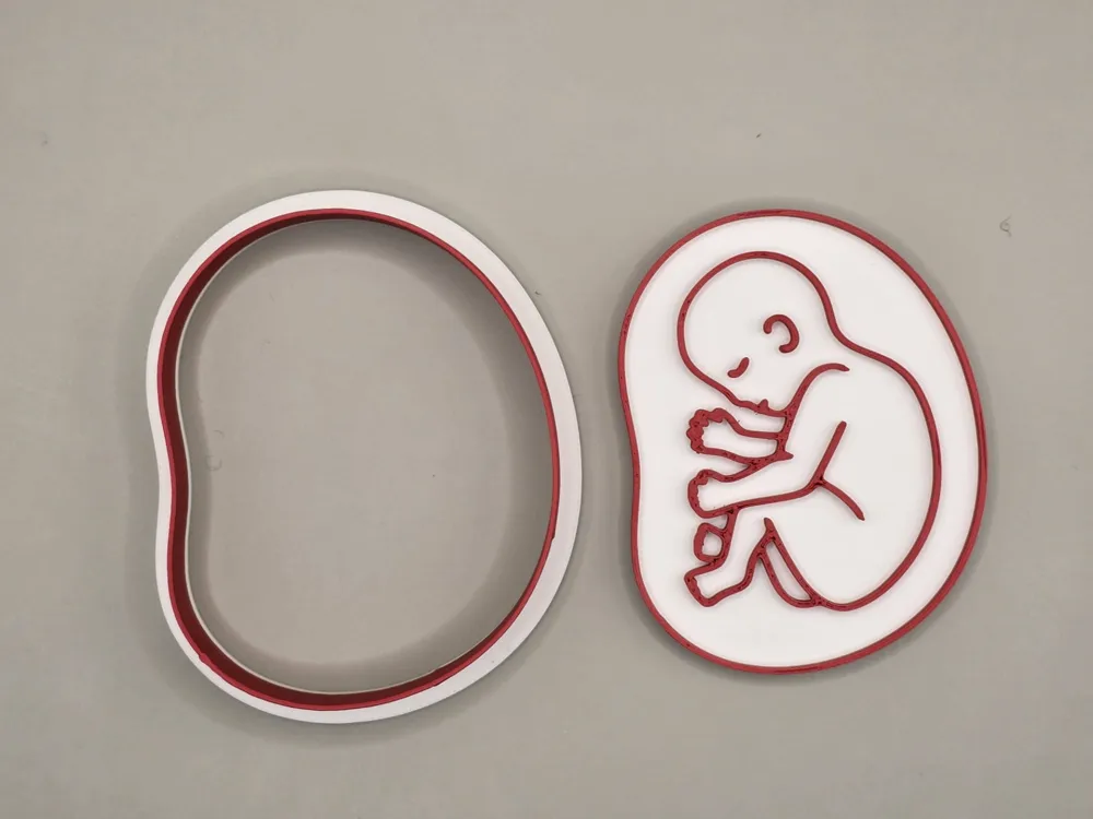Baby Womb Woman Anatomy Cutter Stamp Cookie - Free 3D Print Model ...