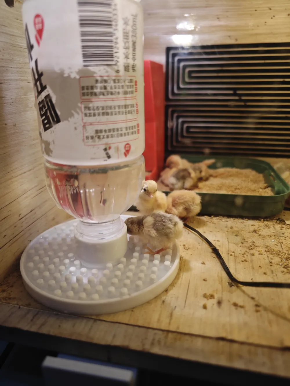 Automatic Chicken Waterer for Preventing Drowning - Free 3D Print Model ...