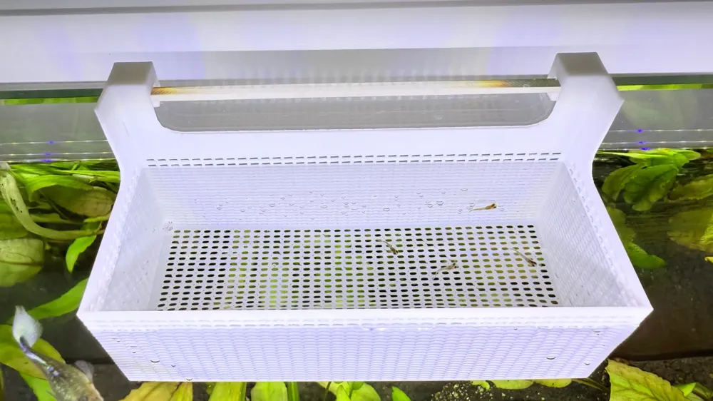 Aquarium Breeding Box, Betta Fish Isolation Box, External Storage Box ...